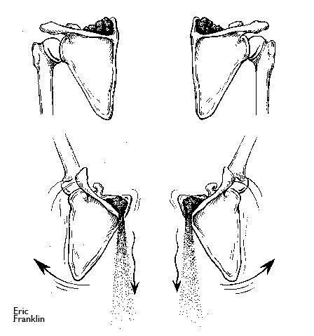 Keep Your Shoulders Safe - Yoga Mind Yoga Body